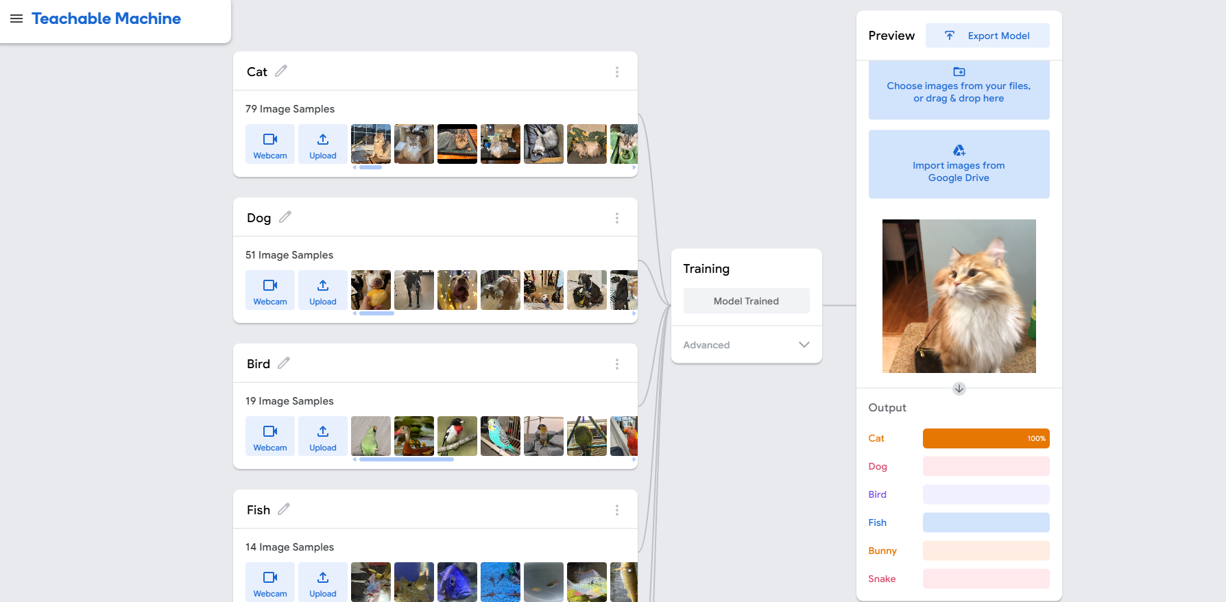Pet Image Classifier